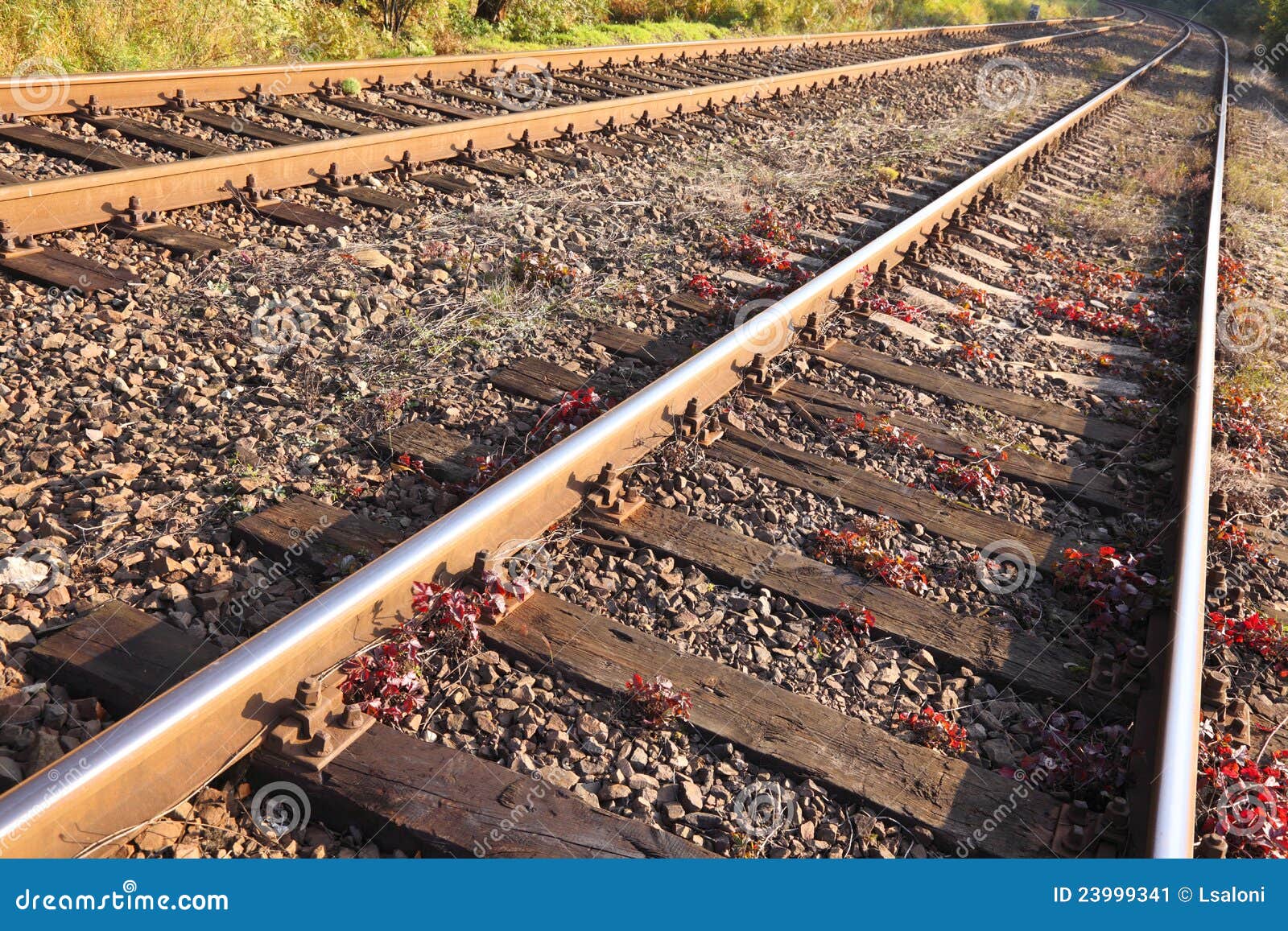 Rail Road Tracks stock image. Image of trip, iron, engine - 23999341