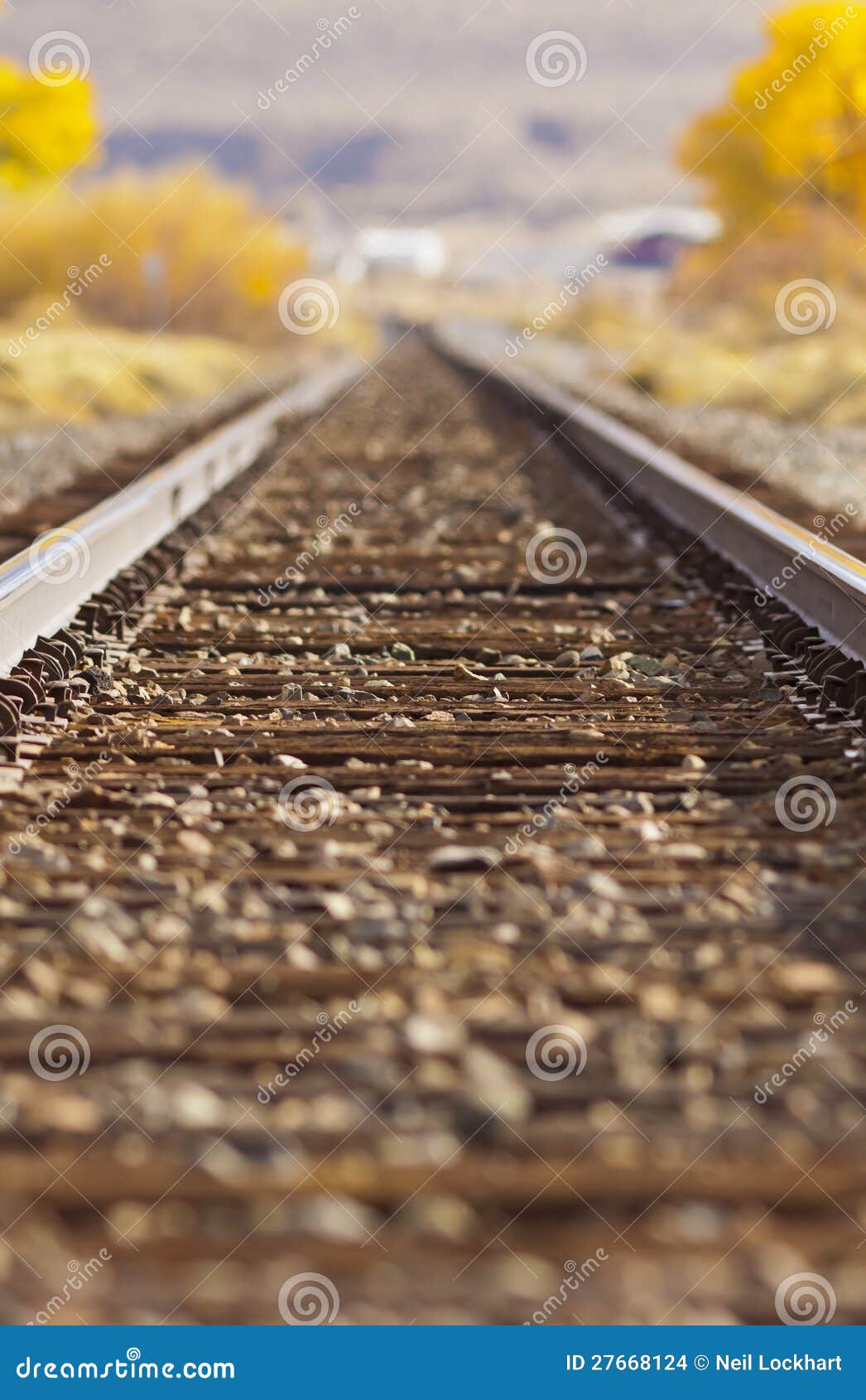 Rail Road Tracks stock photo. Image of tracks, field - 27668124