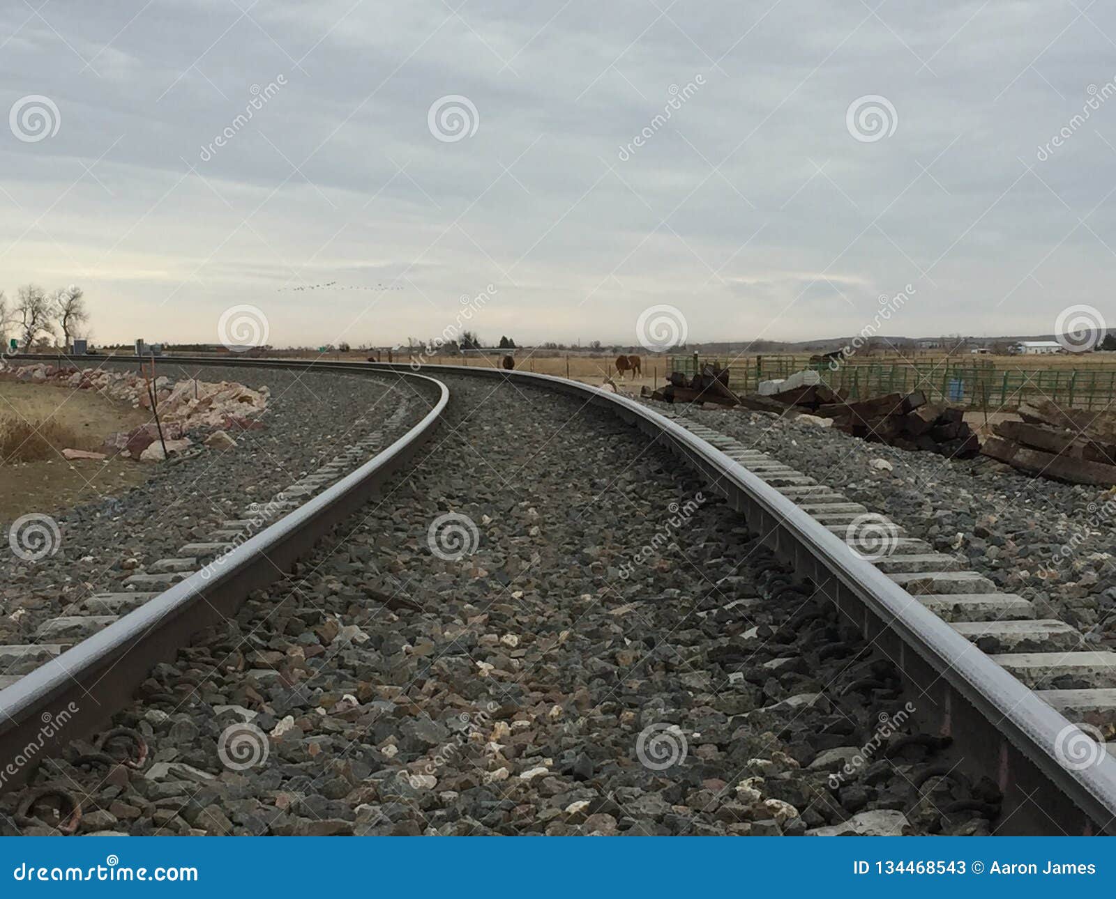 Rail road tracks stock image. Image of tracks, road - 134468543