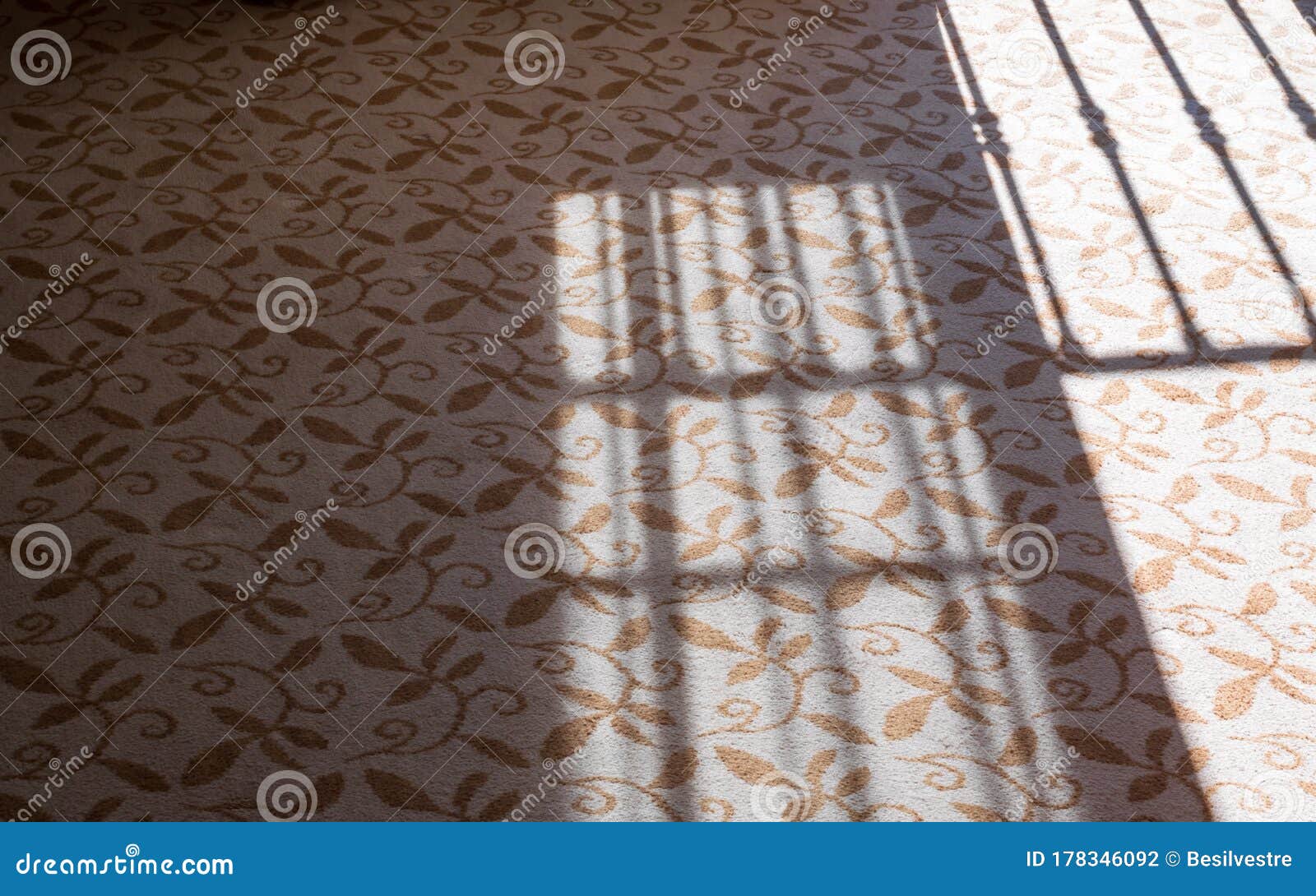 Rail shadow on a carpet stock photo. Image of room, decoration - 178346092