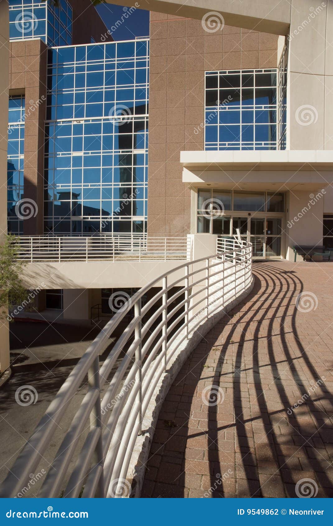 Sun And Shadow On Entrance Ramp With Decoration Livistona Rotundifolia ...