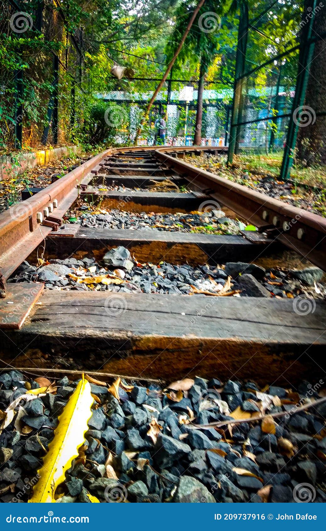 Rail Tracks in a Vertical View with a Green and Beautiful Environment ...