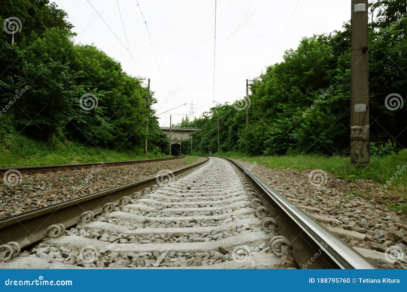 Rail Transport , View of the Railway Track .rails in the Middle of the ...