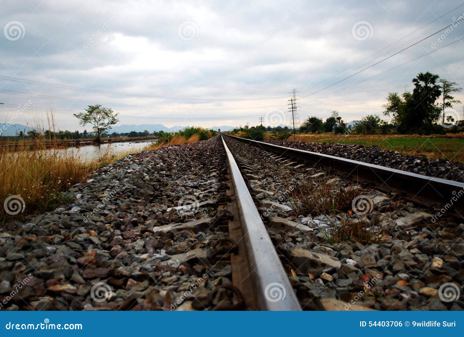 Rail way stock photo. Image of production, rail, sheet - 54403706