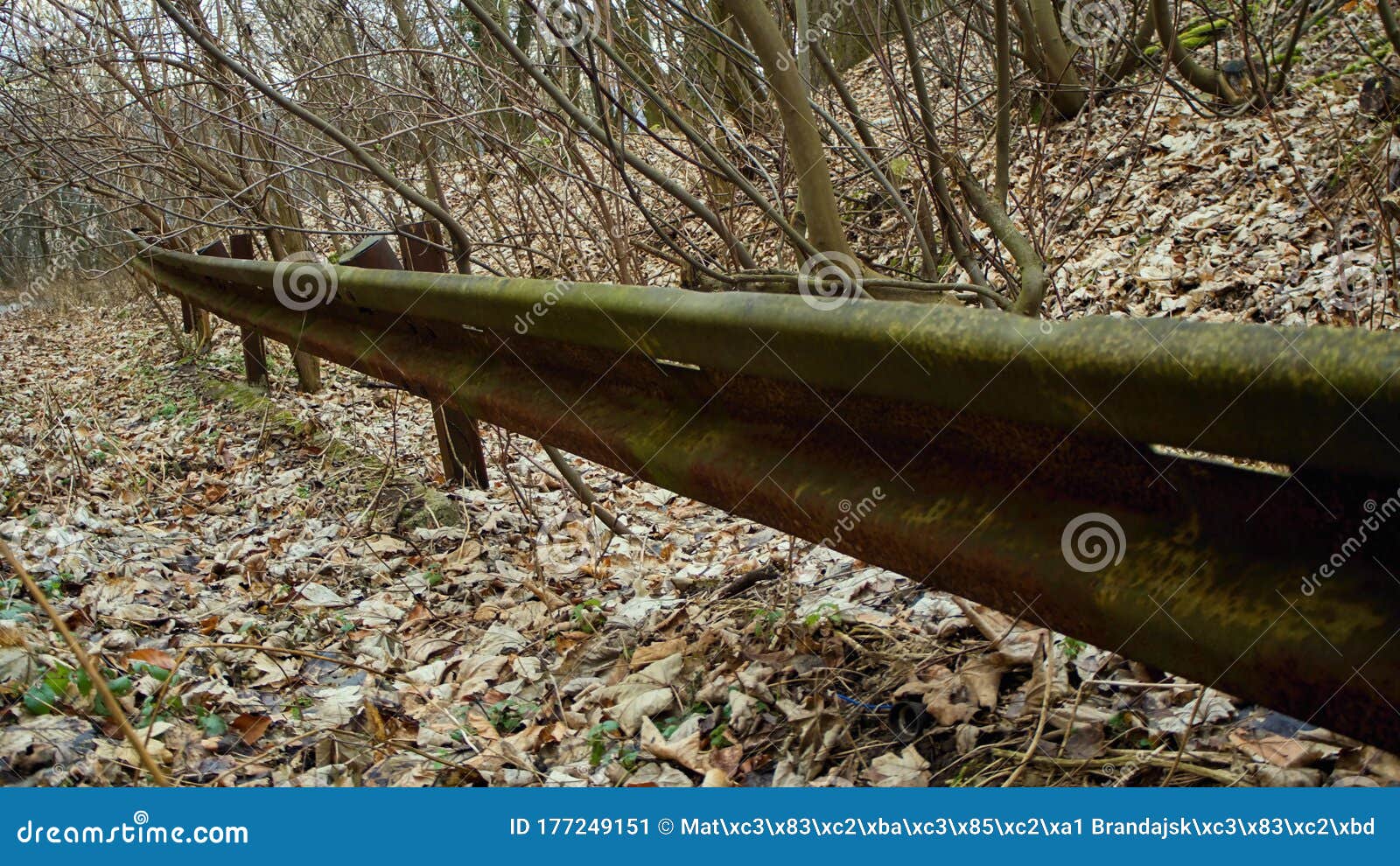 Railing on the autumn road stock image. Image of calm - 177249151