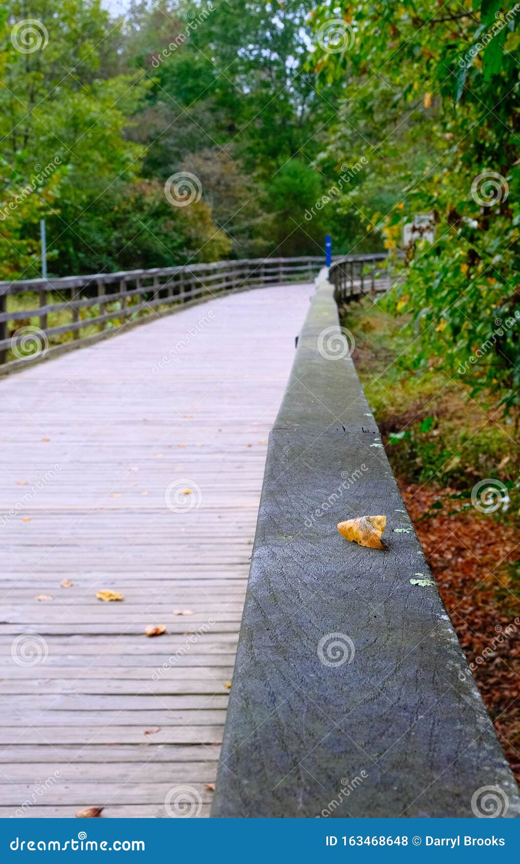 Railing by Path stock photo. Image of landscape, adventure - 163468648