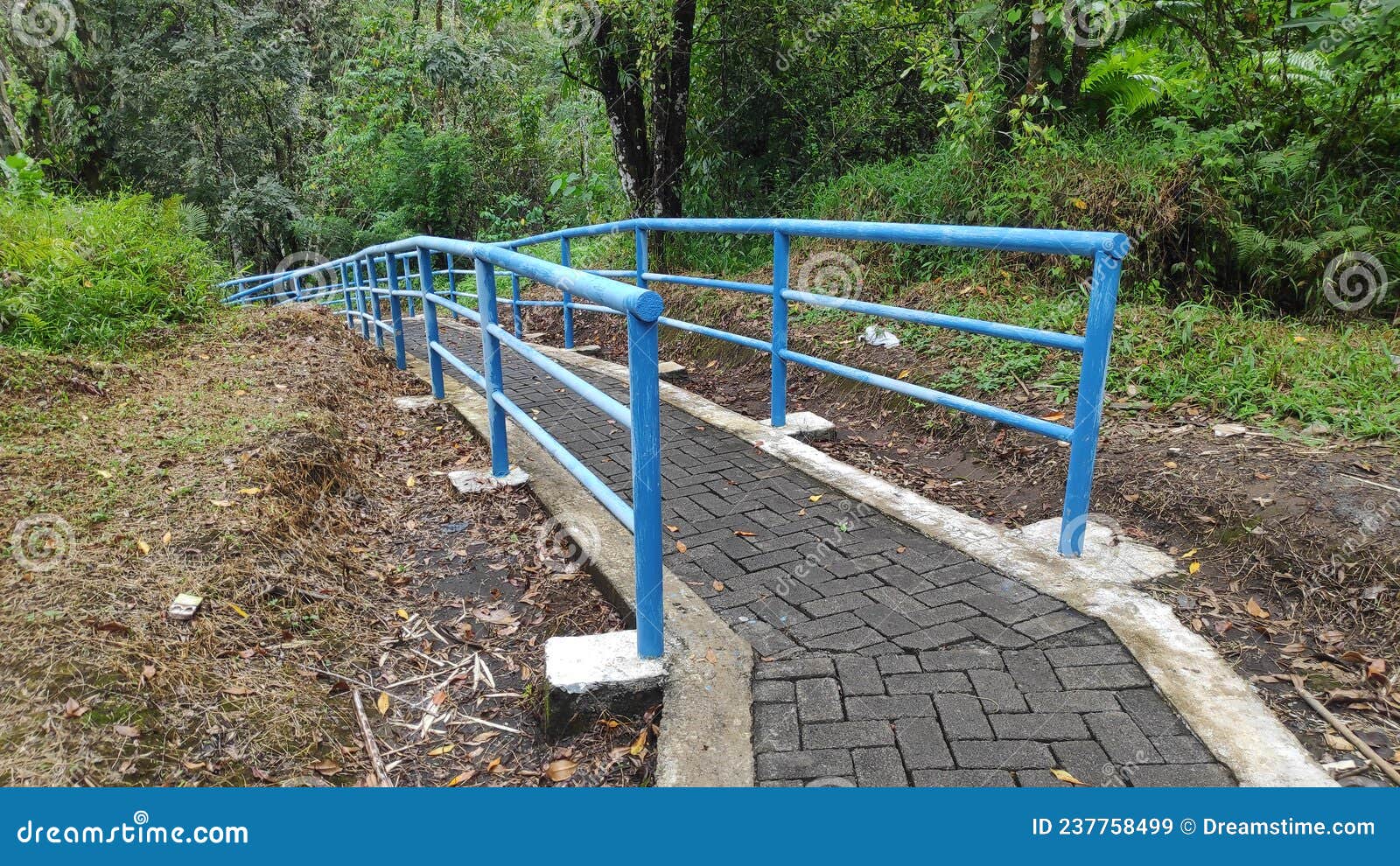 Big Waterfall And Railing View At Amboli India Stock Photography ...