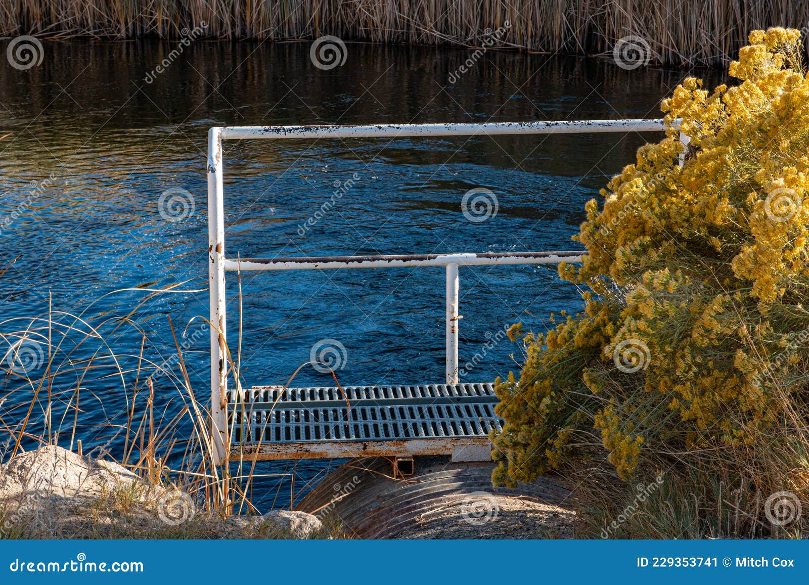 Railing and Pond stock image. Image of inlet, reservoir - 229353741