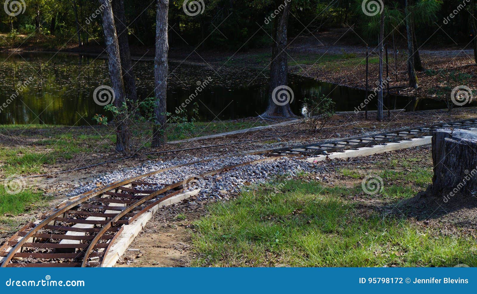 Railriad Tracks in the Forest Stock Photo - Image of steel, background ...