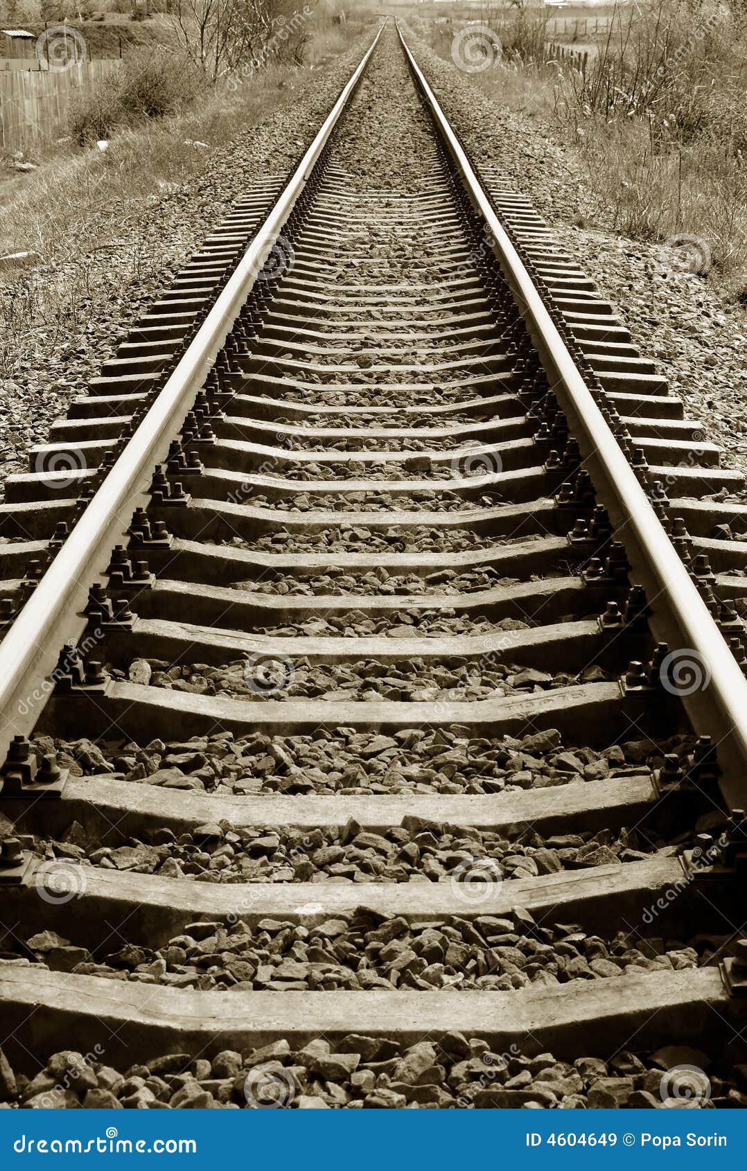 Railroad stock image. Image of railroad, rail, rural, prairie - 4604649