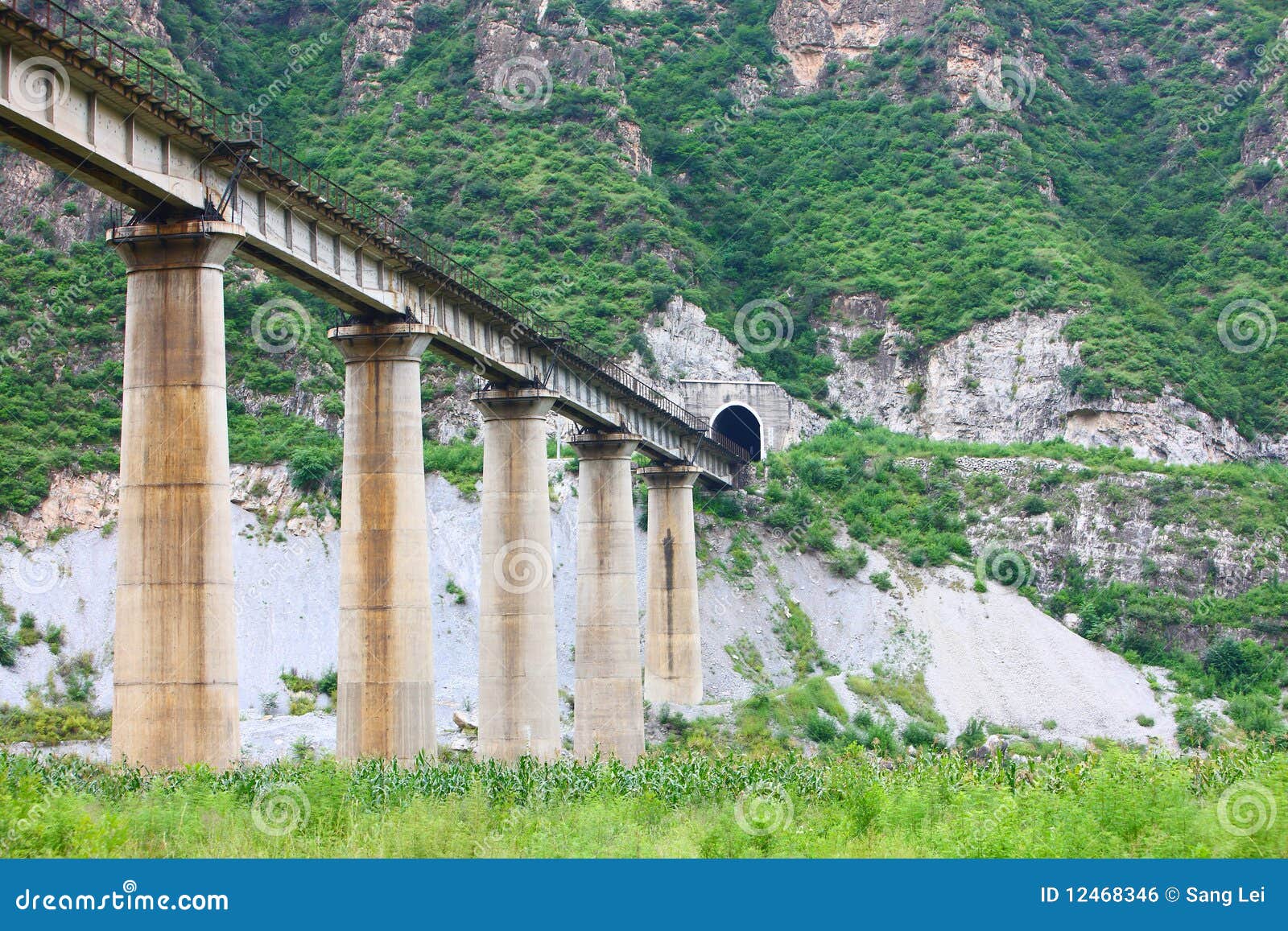 Railroad bridge stock photo. Image of railroad, transportation - 12468346