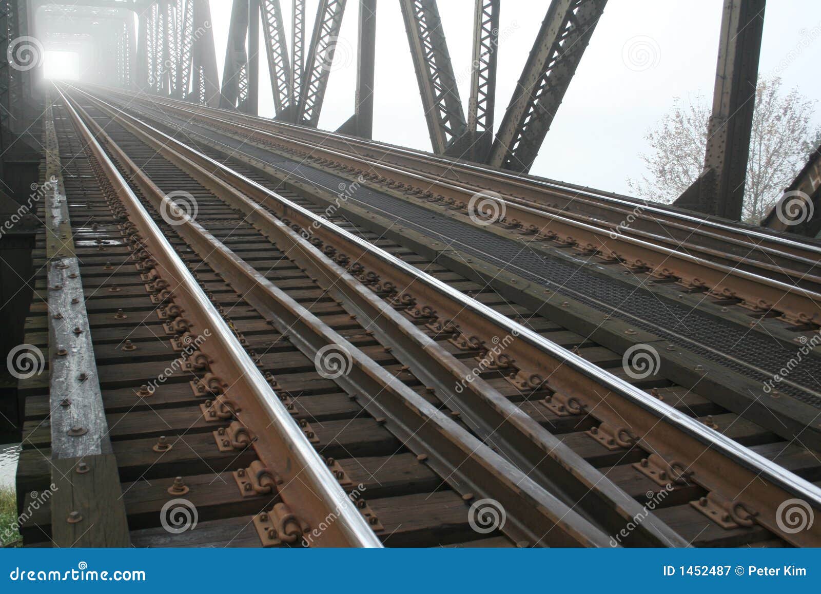Railroad Bridge stock image. Image of tunnel, woodland - 1452487