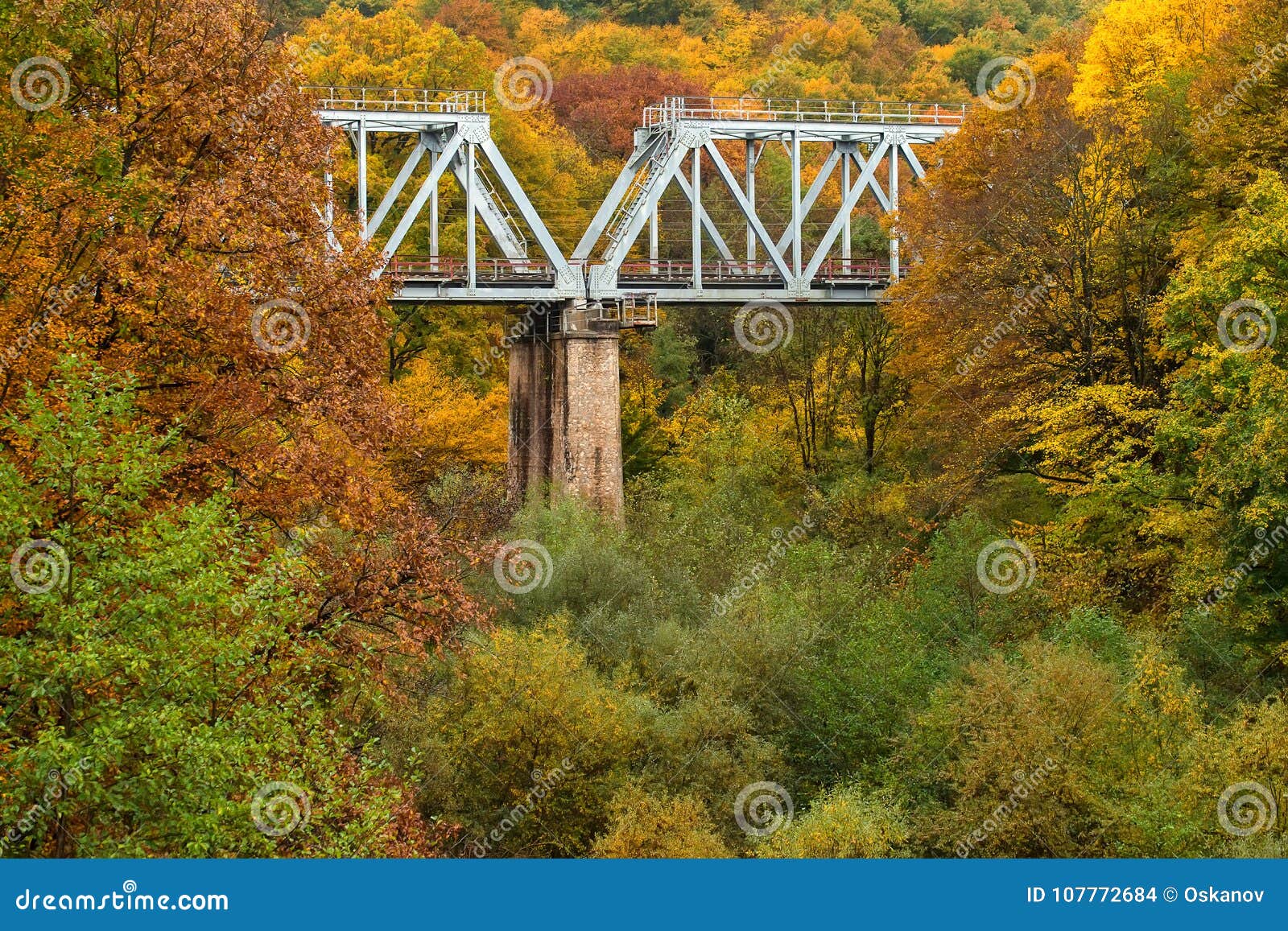 Autumn Landscape with Bridge Stock Photo - Image of picturesque, leaf ...