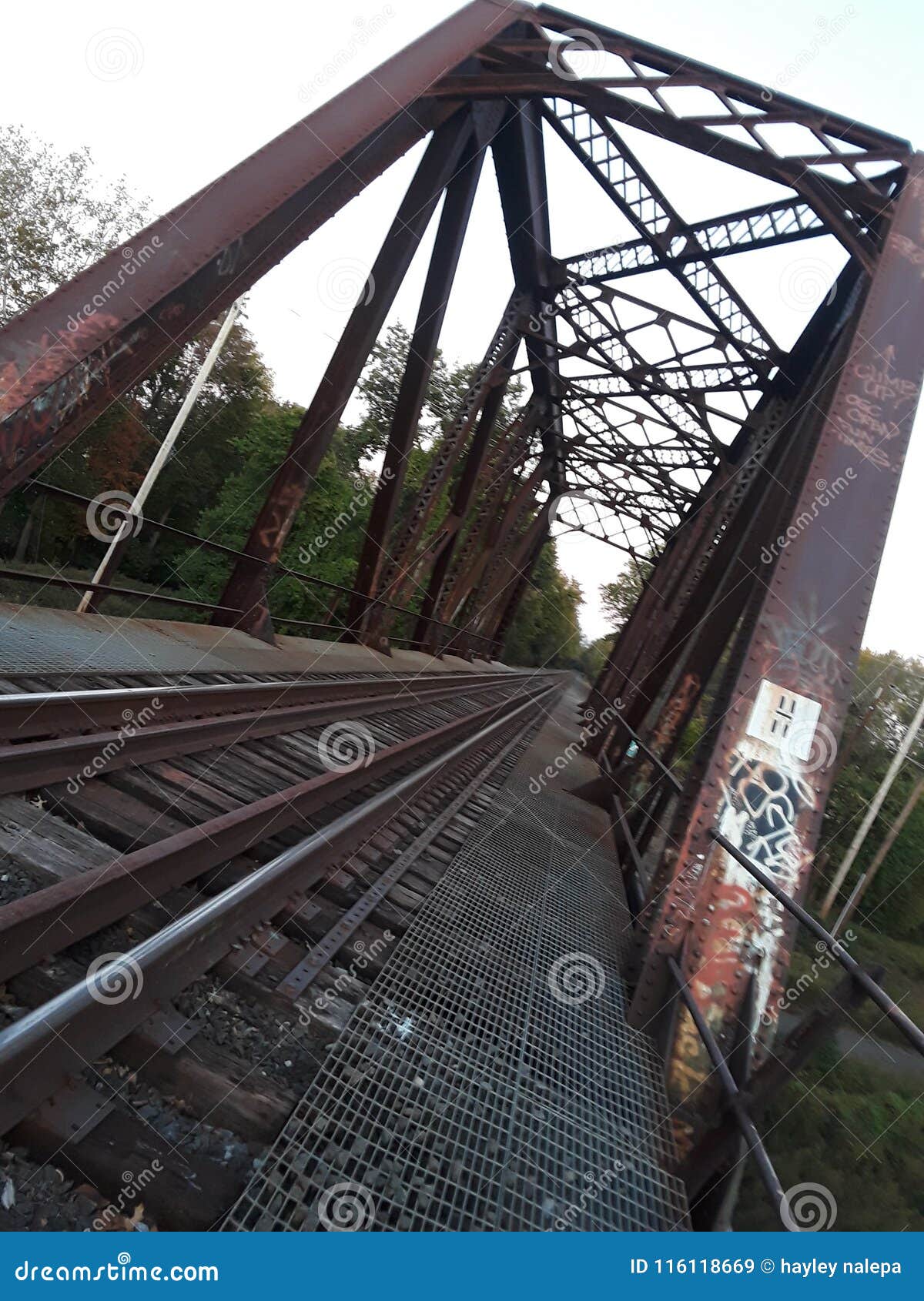 Railroad Bridge stock image. Image of railroad, bridge - 116118669
