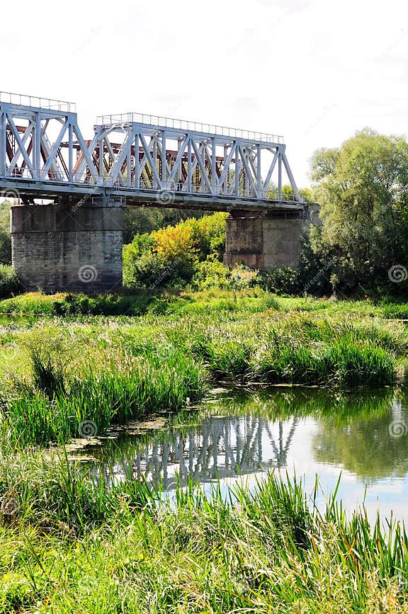 Railroad bridge stock image. Image of reeds, green, water - 44303765