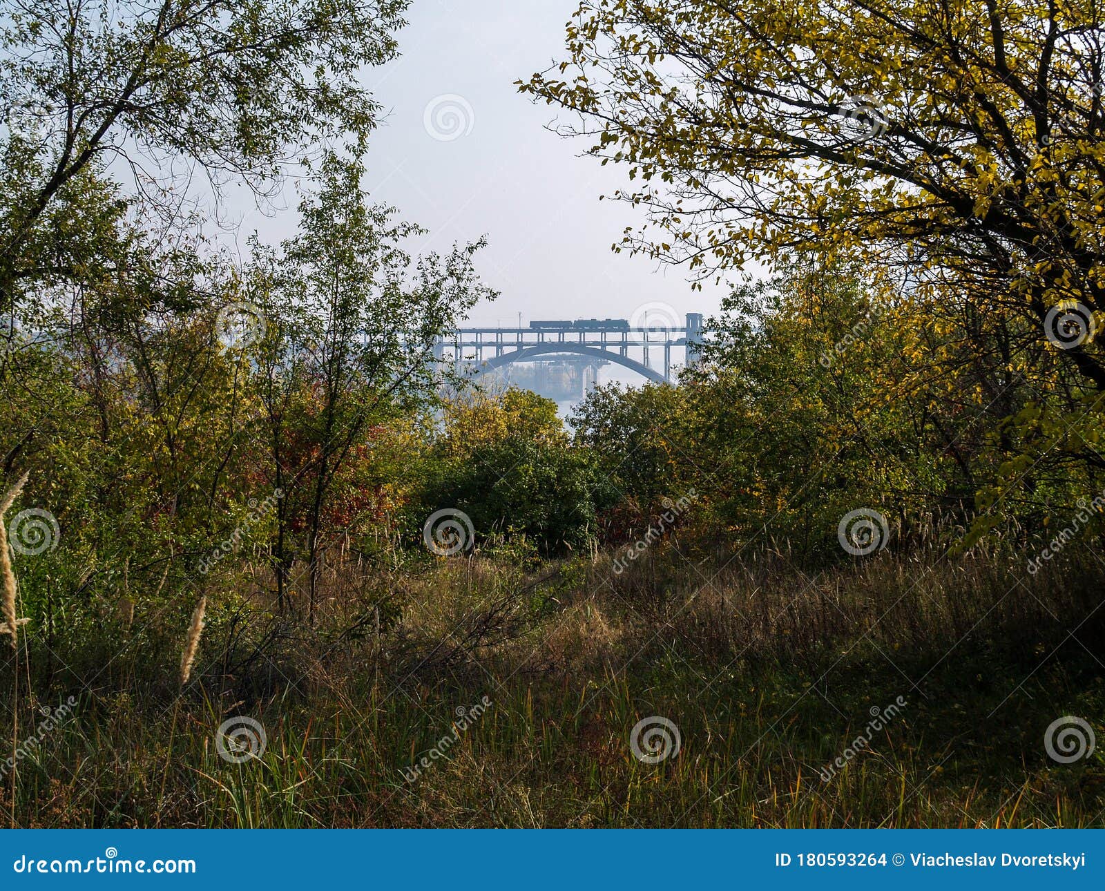 Railroad Bridge. View through the Trees Stock Photo - Image of ...