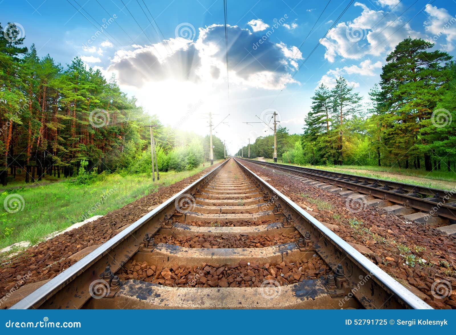 Railroad close-up stock image. Image of rail, nature - 52791725