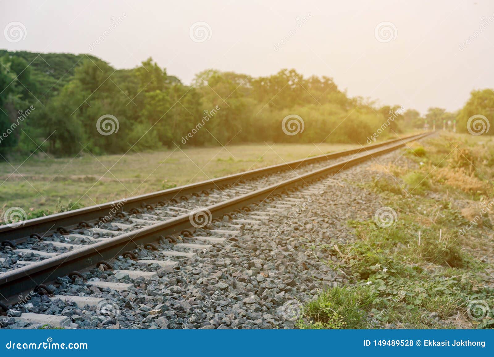 The Railroad through the Countryside in the Morning and the Big Trees ...