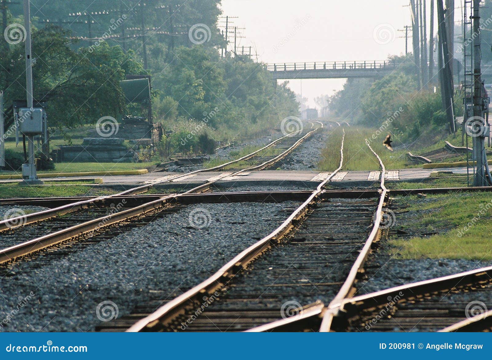 Railroad Crossing stock image. Image of transportation - 200981