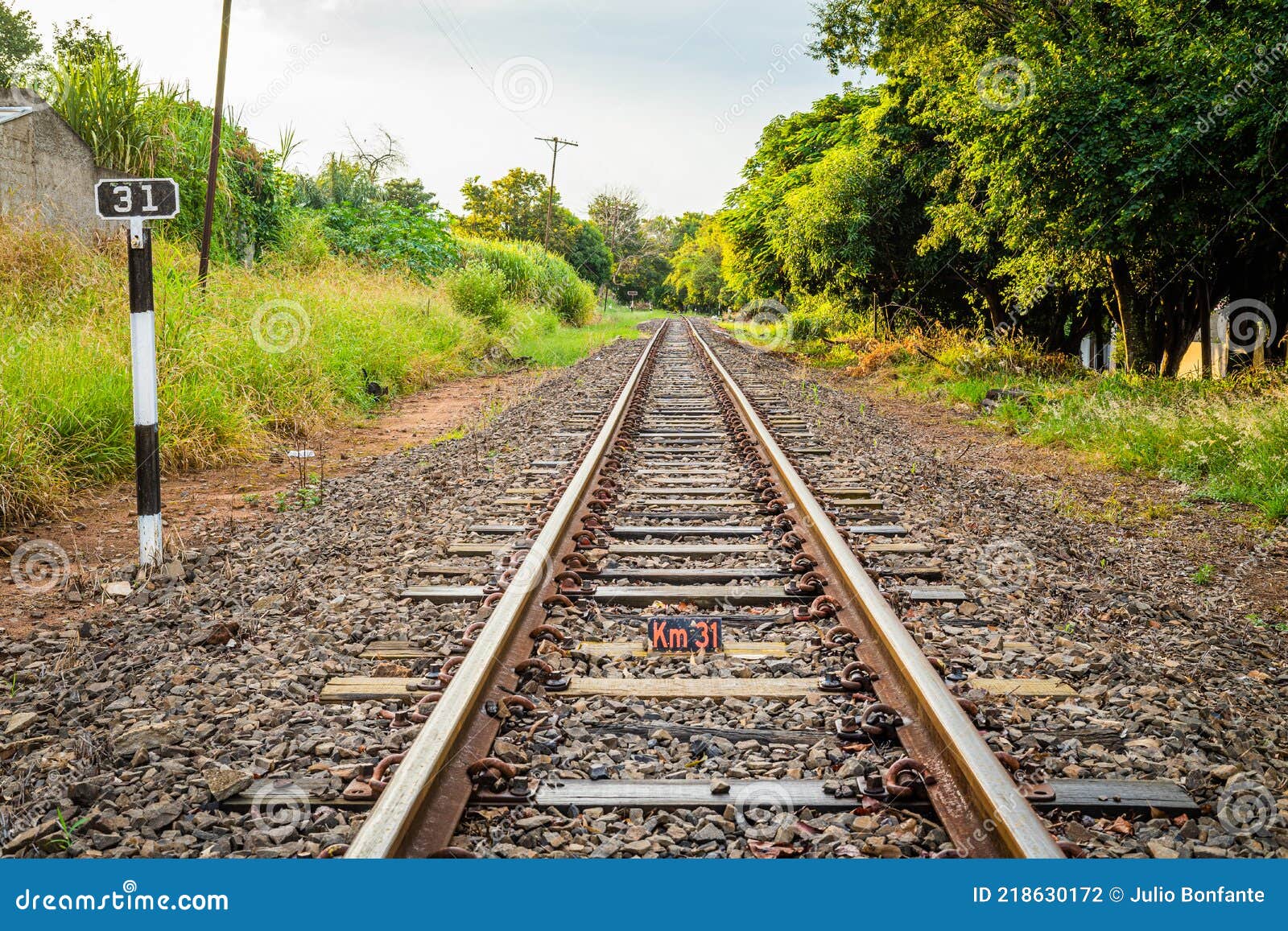 Railroad Crossing and Blue Sky. Perspective Line View Stock Photo ...