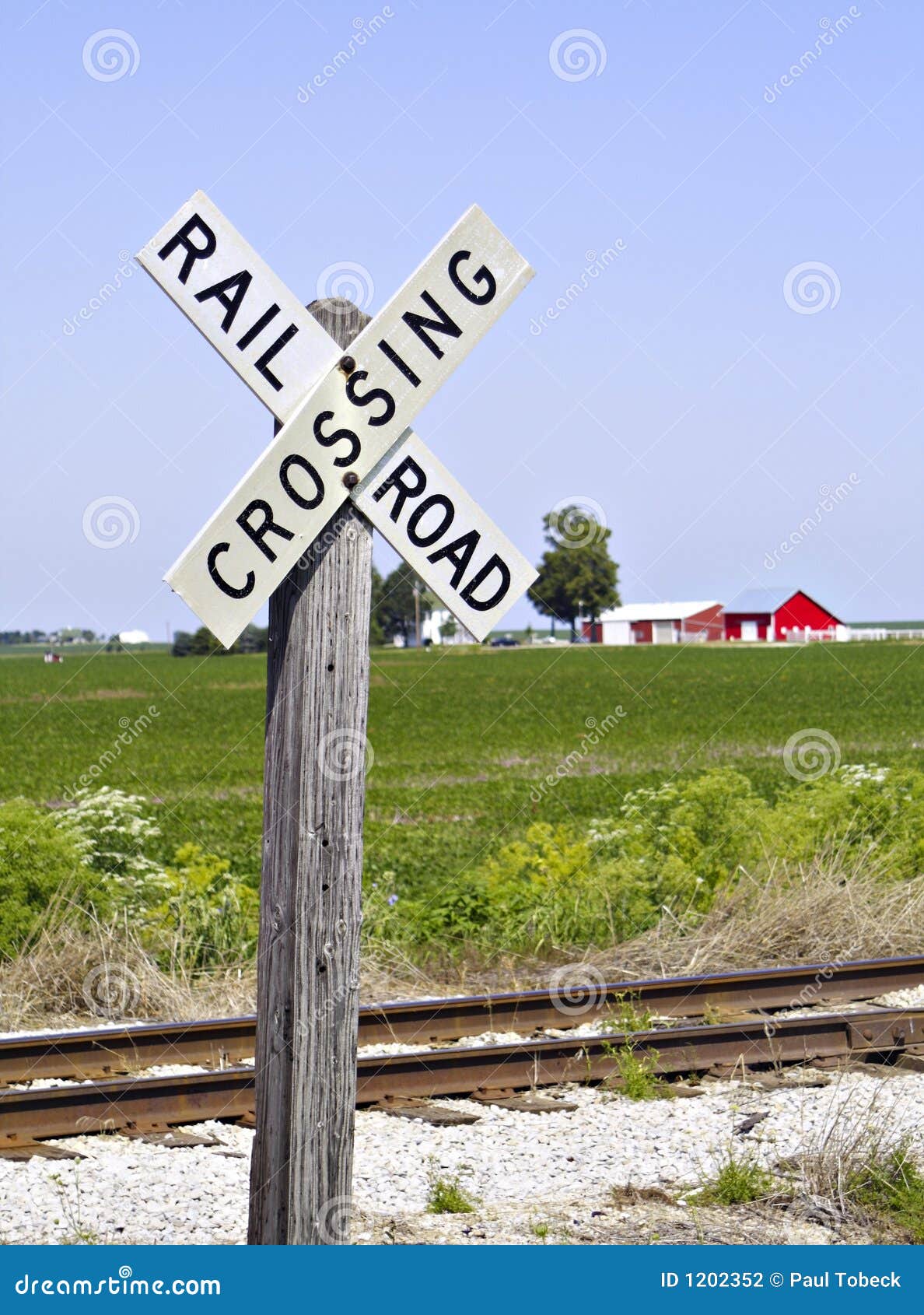 Sign Of Crossing Of The Road On Asphalt. People Cross The Road Royalty ...