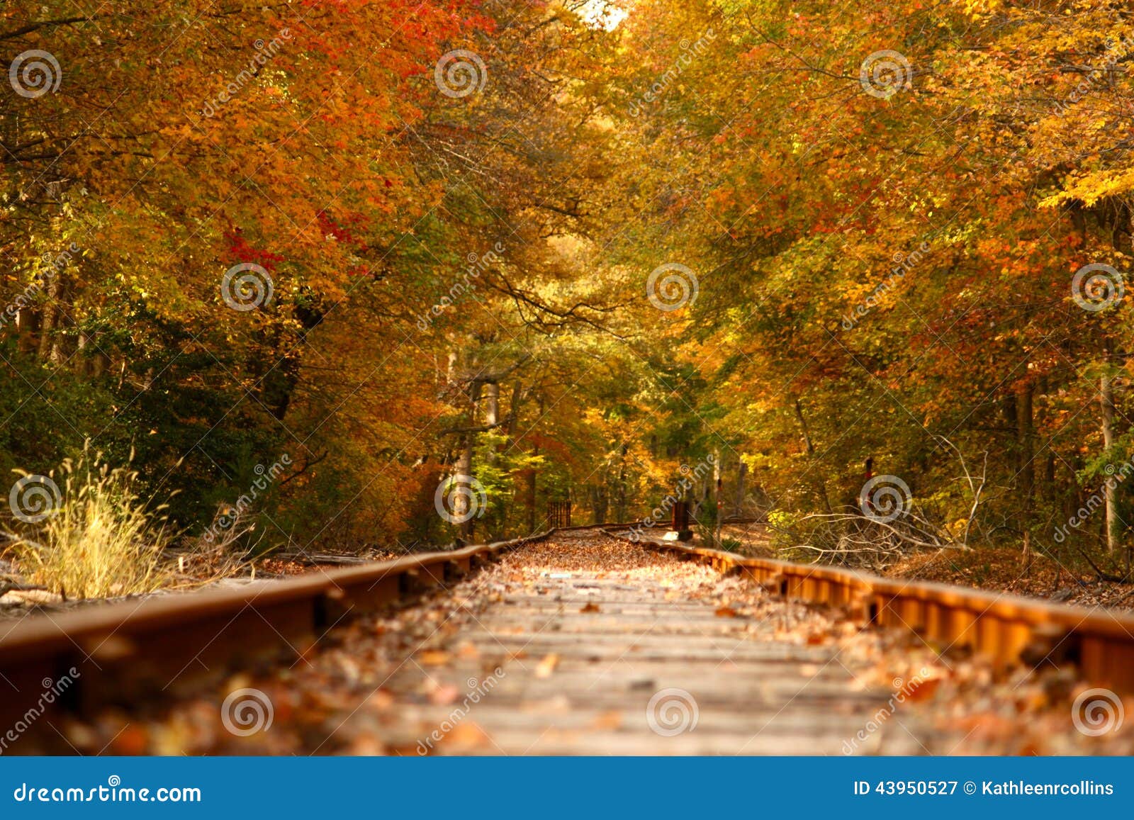 Railroad stock image. Image of colorful, fall, landscape - 43950527