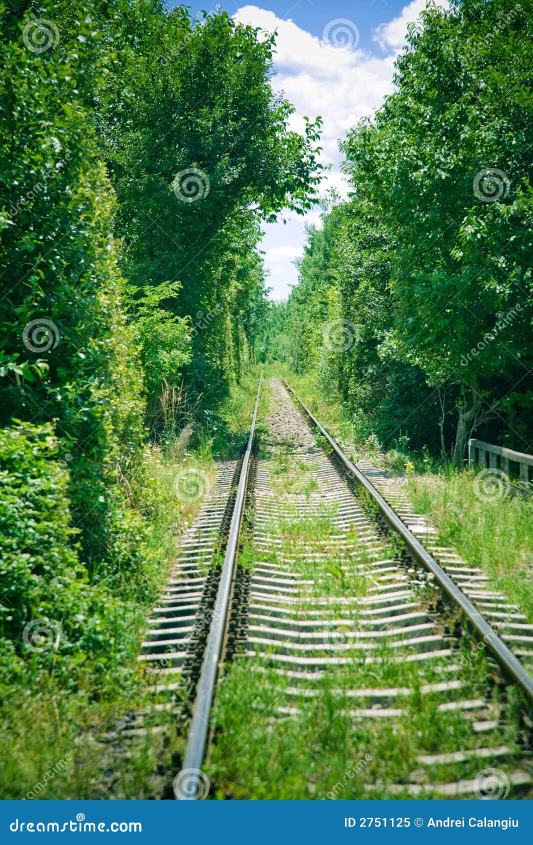 Railroad through forest stock image. Image of woods, rail - 2751125