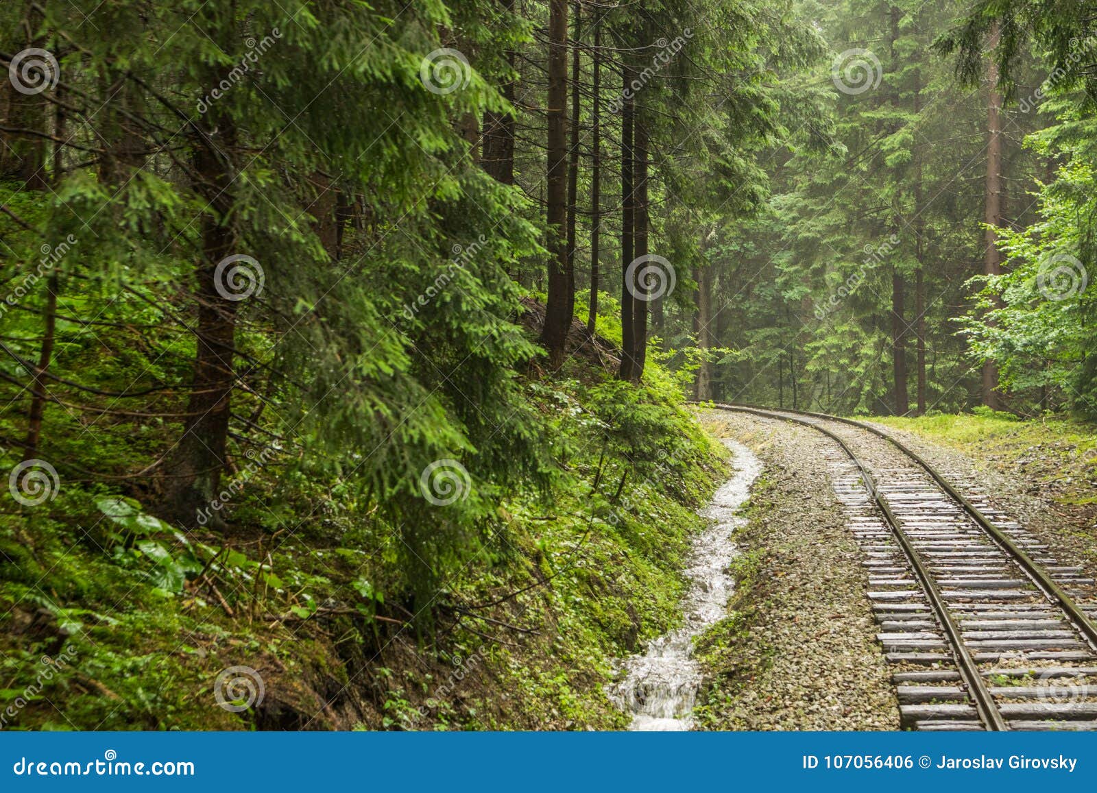 Railroad through forest stock photo. Image of travel - 107056406