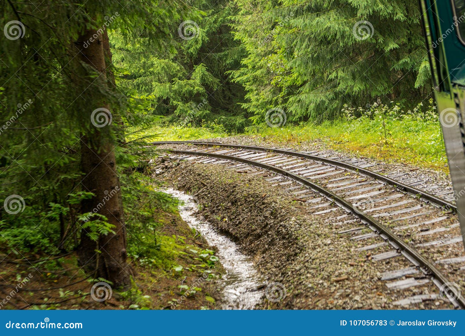 Railroad through forest stock image. Image of rail, outdoor - 107056783