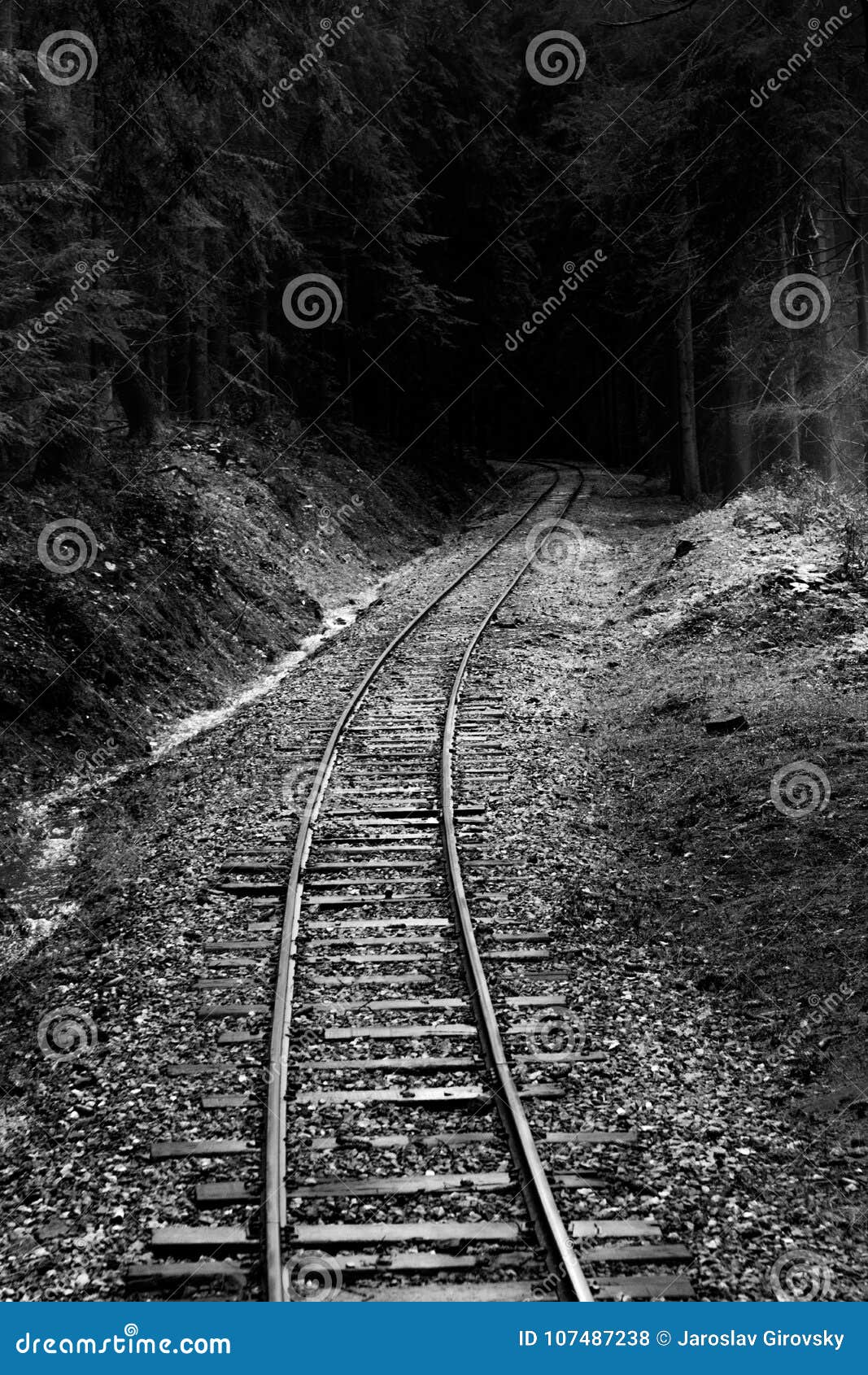 Railroad through forest stock photo. Image of train - 107487238