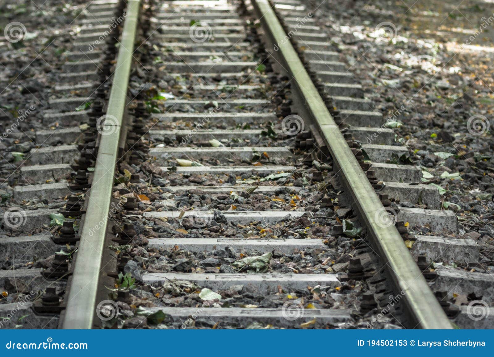 Parallel Rails Going into Perspective Stock Image - Image of mode ...