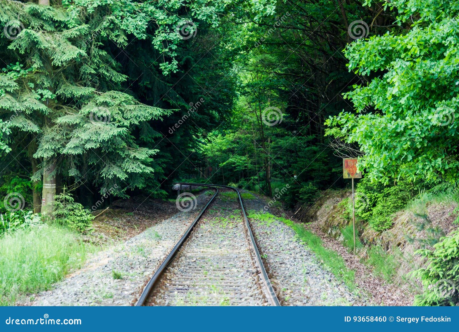Railroad in forest stock photo. Image of beautiful, track - 93658460