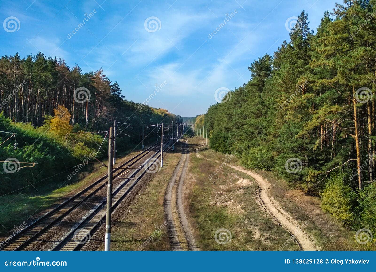 Railroad in the Forest with Trees Stock Photo - Image of rail ...