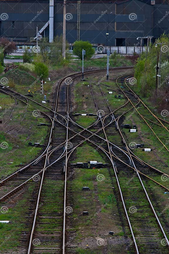 Railroad intersection stock photo. Image of railroad - 24583398