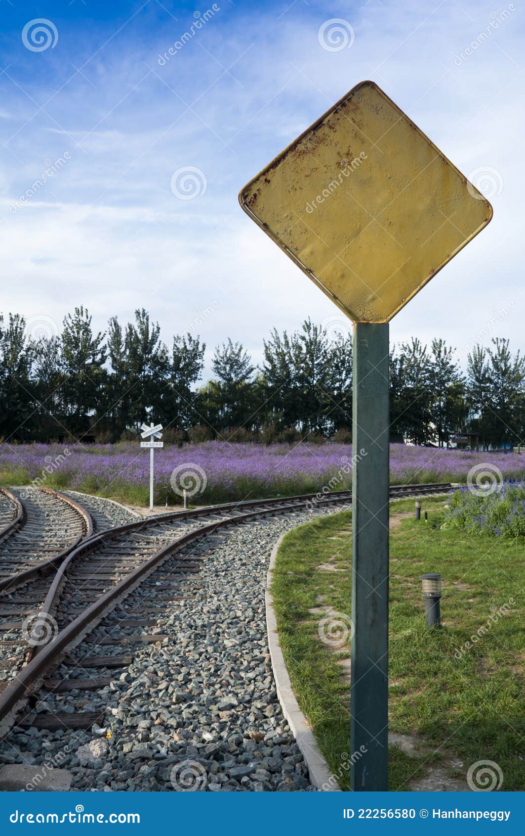 Railroad junction stock photo. Image of summer, crossing - 22256580