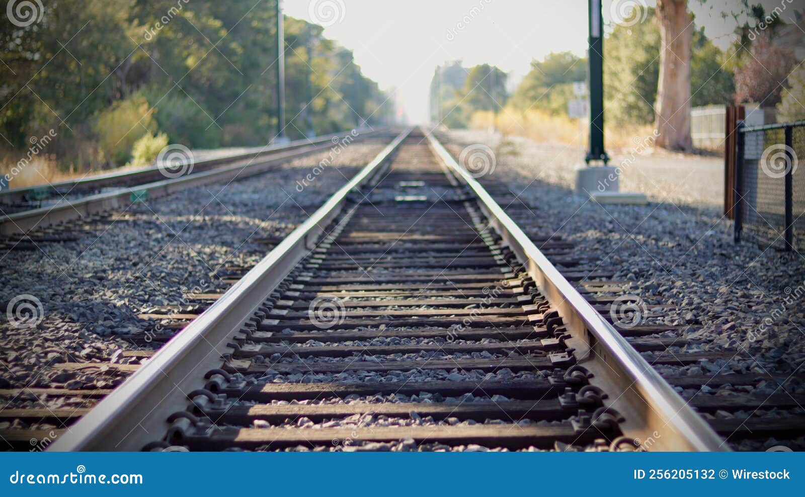 Railroad Leading Off into the Distance Stock Photo - Image of path ...