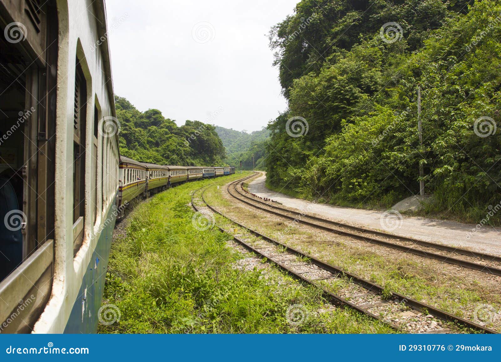 Railroad through the Mountains with Forest Stock Photo - Image of lush ...