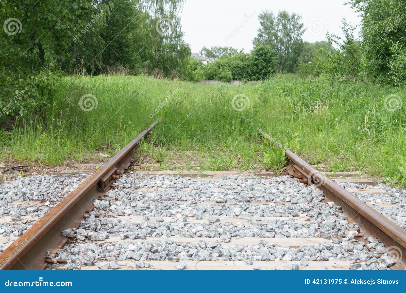 Railroad. Move forward! stock image. Image of transportation - 42131975