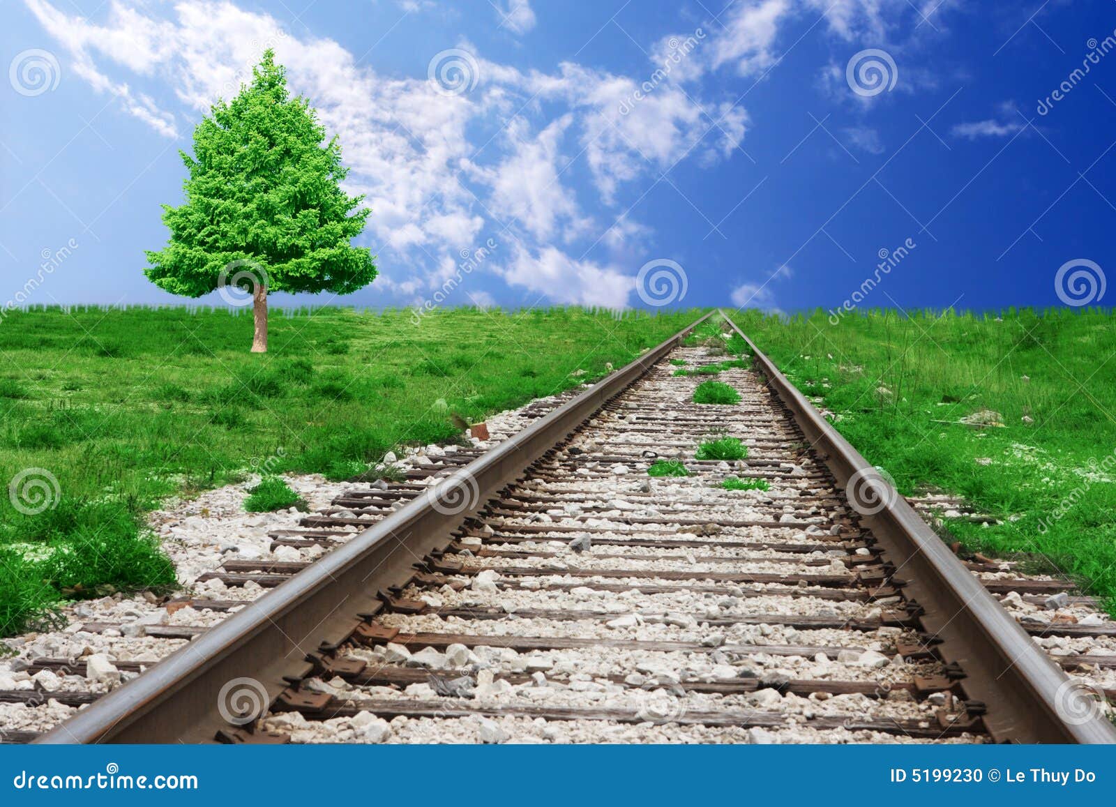 Railroad and Pine Tree stock photo. Image of long, transport - 5199230