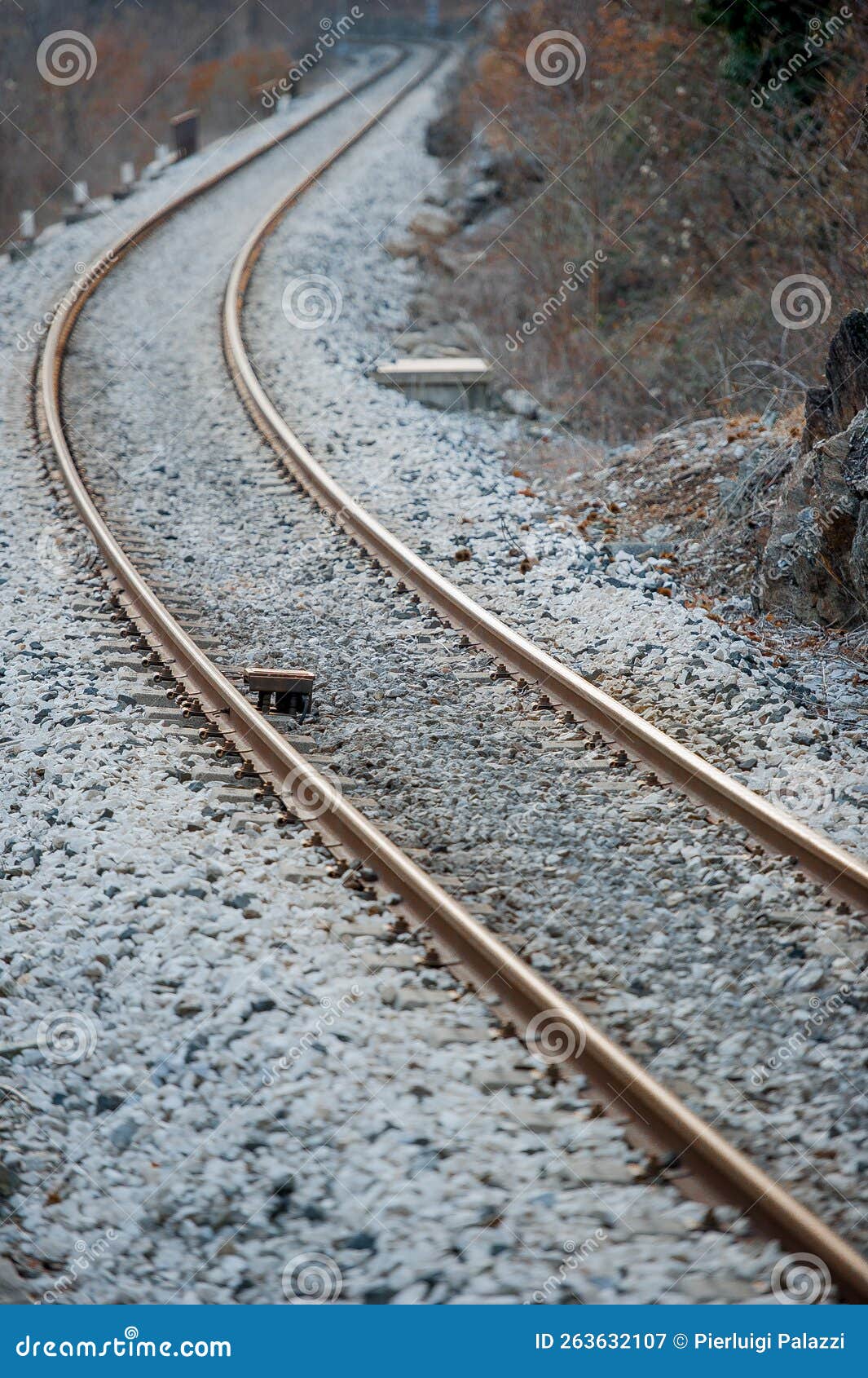 Railroad stock image. Image of transport, transit, path - 263632107
