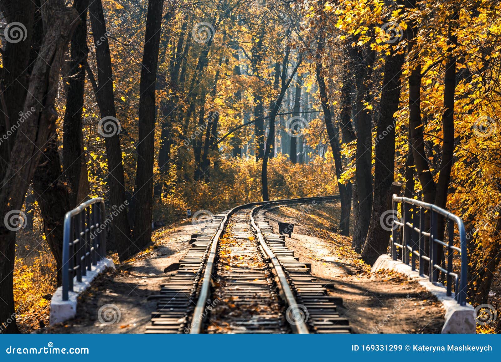 Railroad Single Track Through The Woods In Autumn. Fall Landscape. Red ...