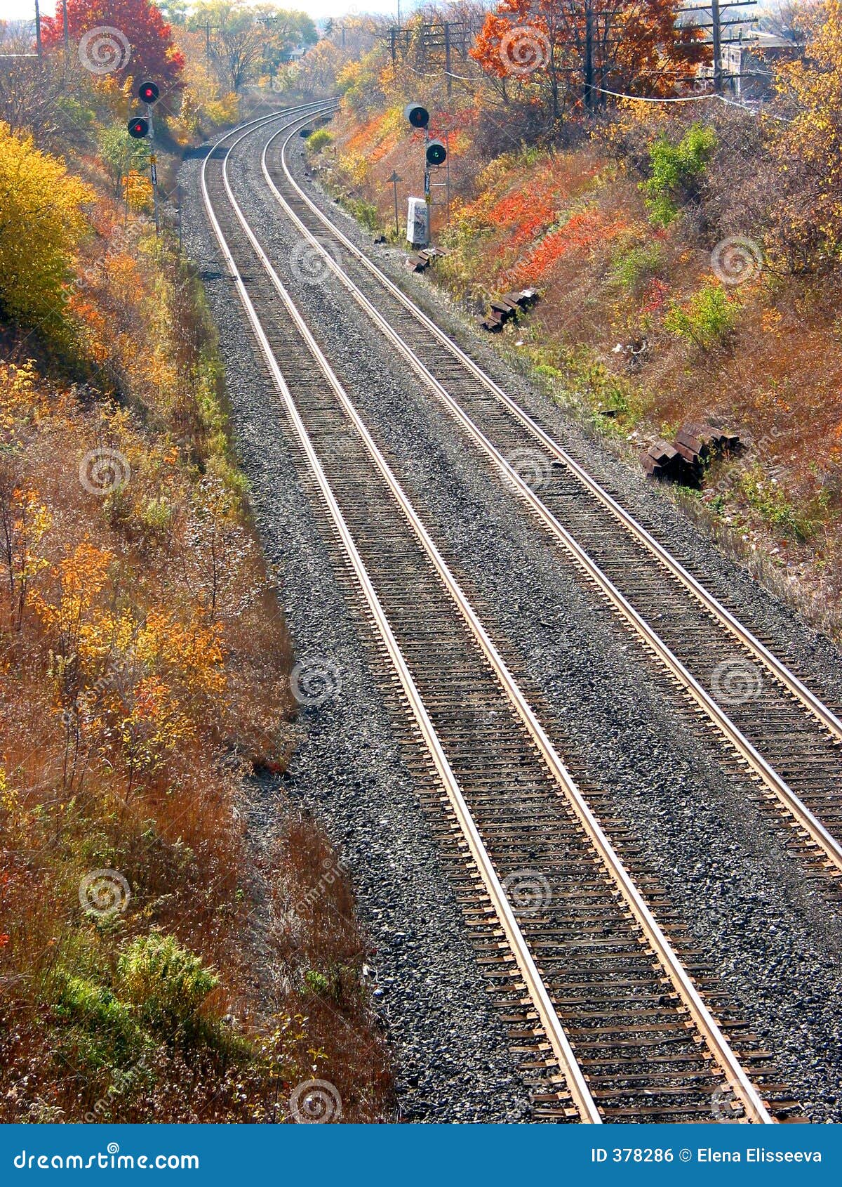 Railroad and stop lights stock photo. Image of stop, trees - 378286