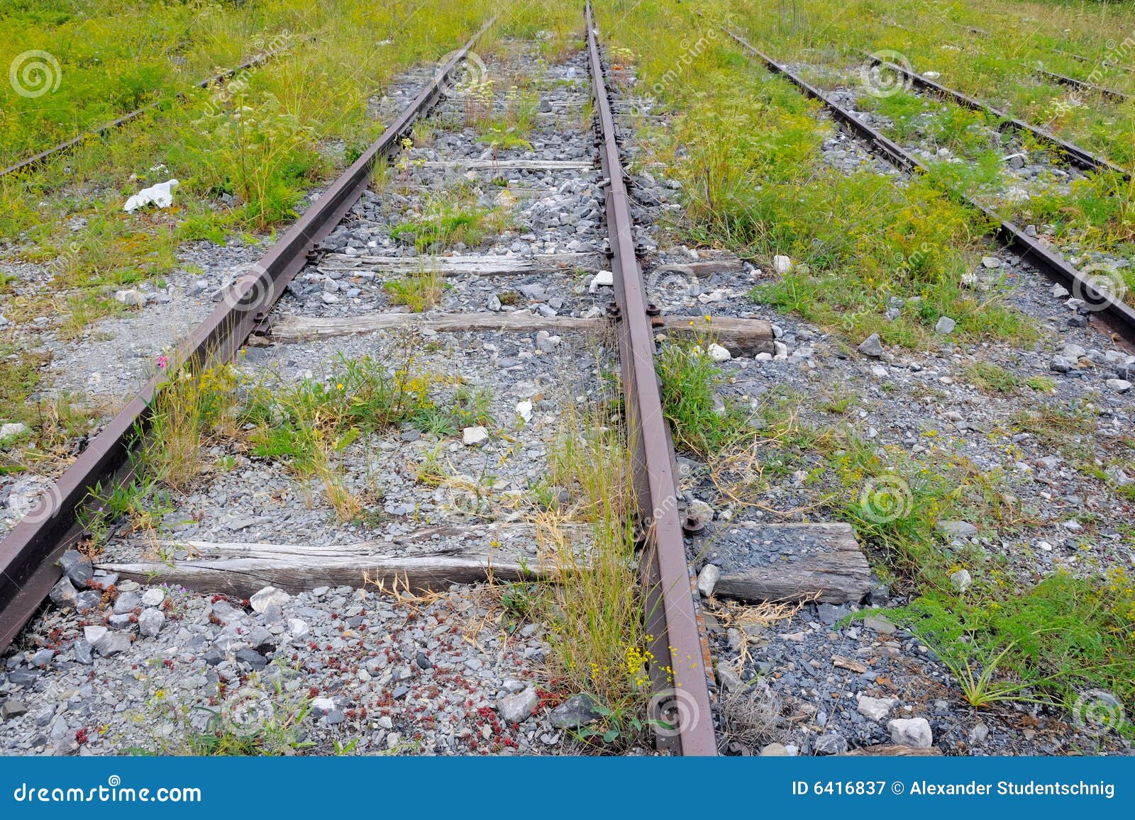 Railroad To Nowhere Picture. Image: 6416837