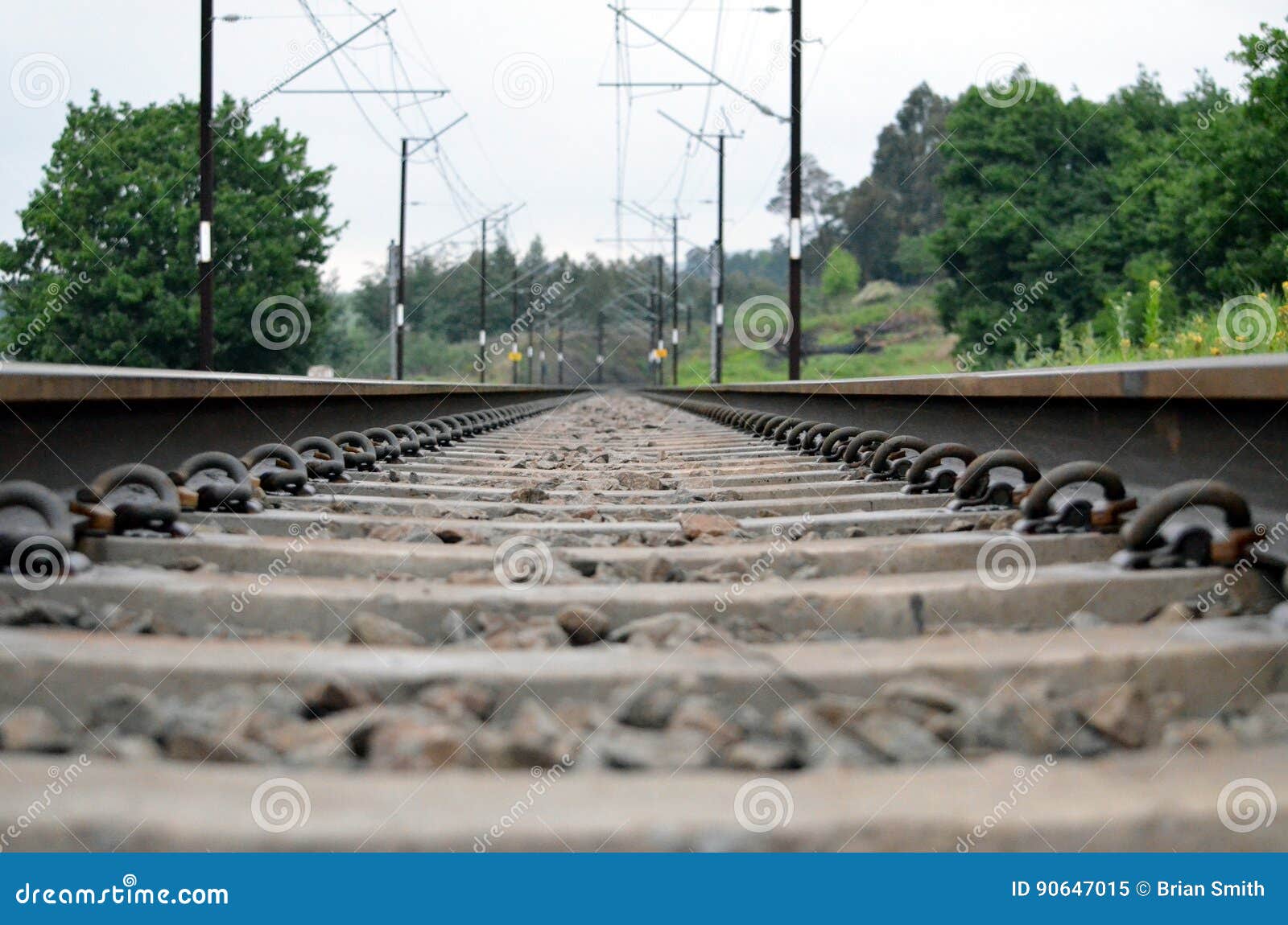 A Railroad Track stock image. Image of transport, tree - 90647015