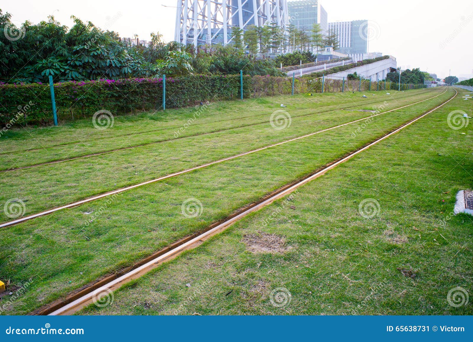 Railroad track with grass stock image. Image of green - 65638731