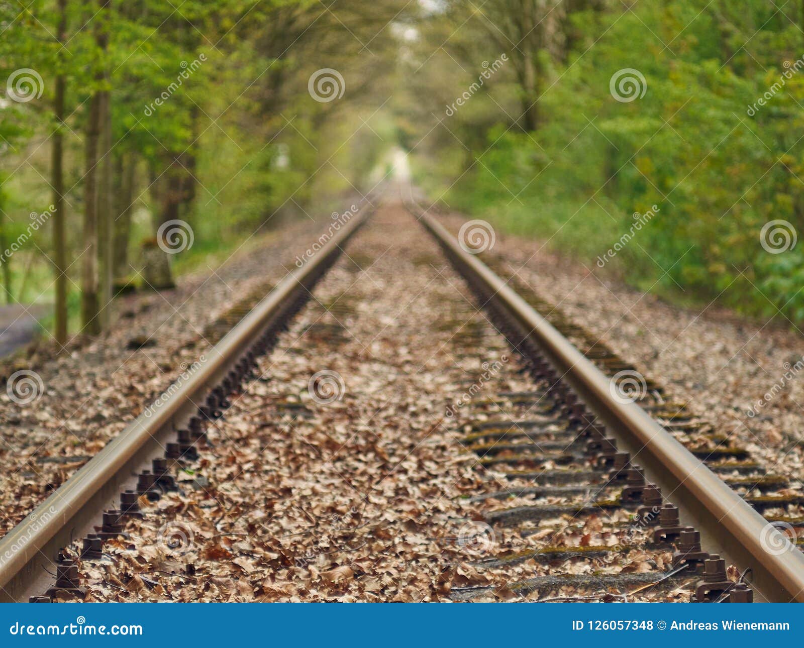Out Service Railroad Tracks Photos - Free & Royalty-Free Stock Photos ...