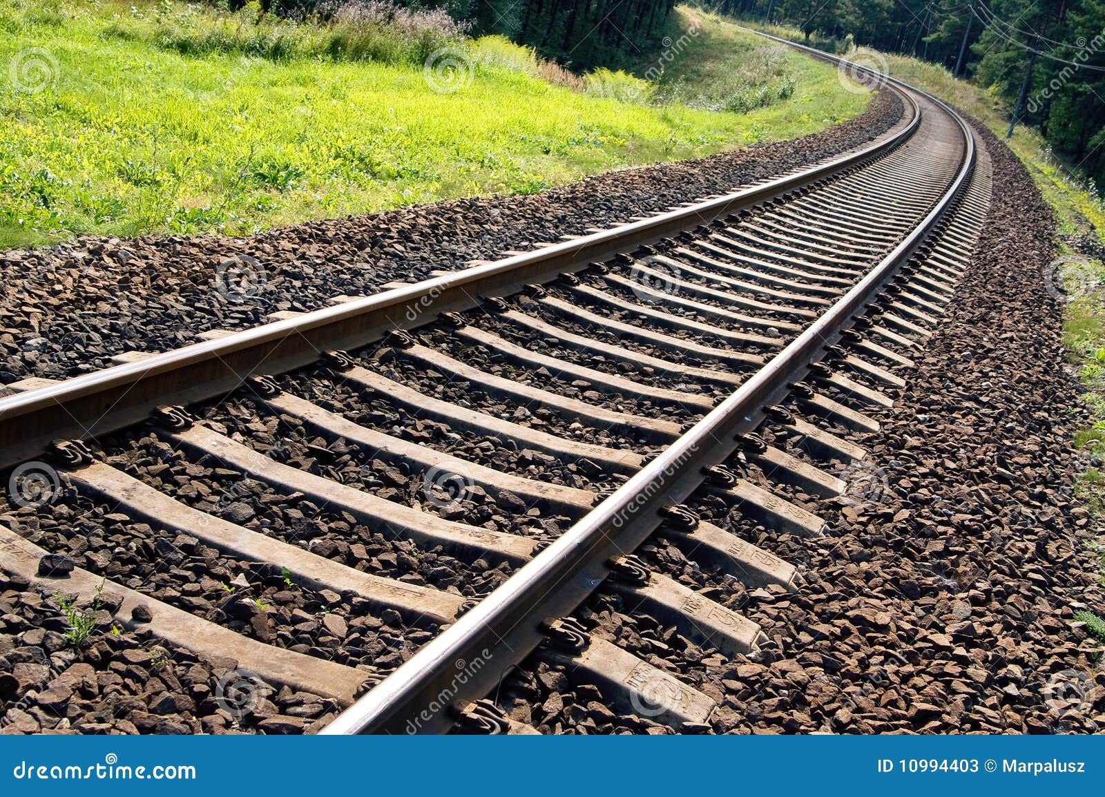 Railroad Track Perspective into a Forest Area Stock Image - Image of ...