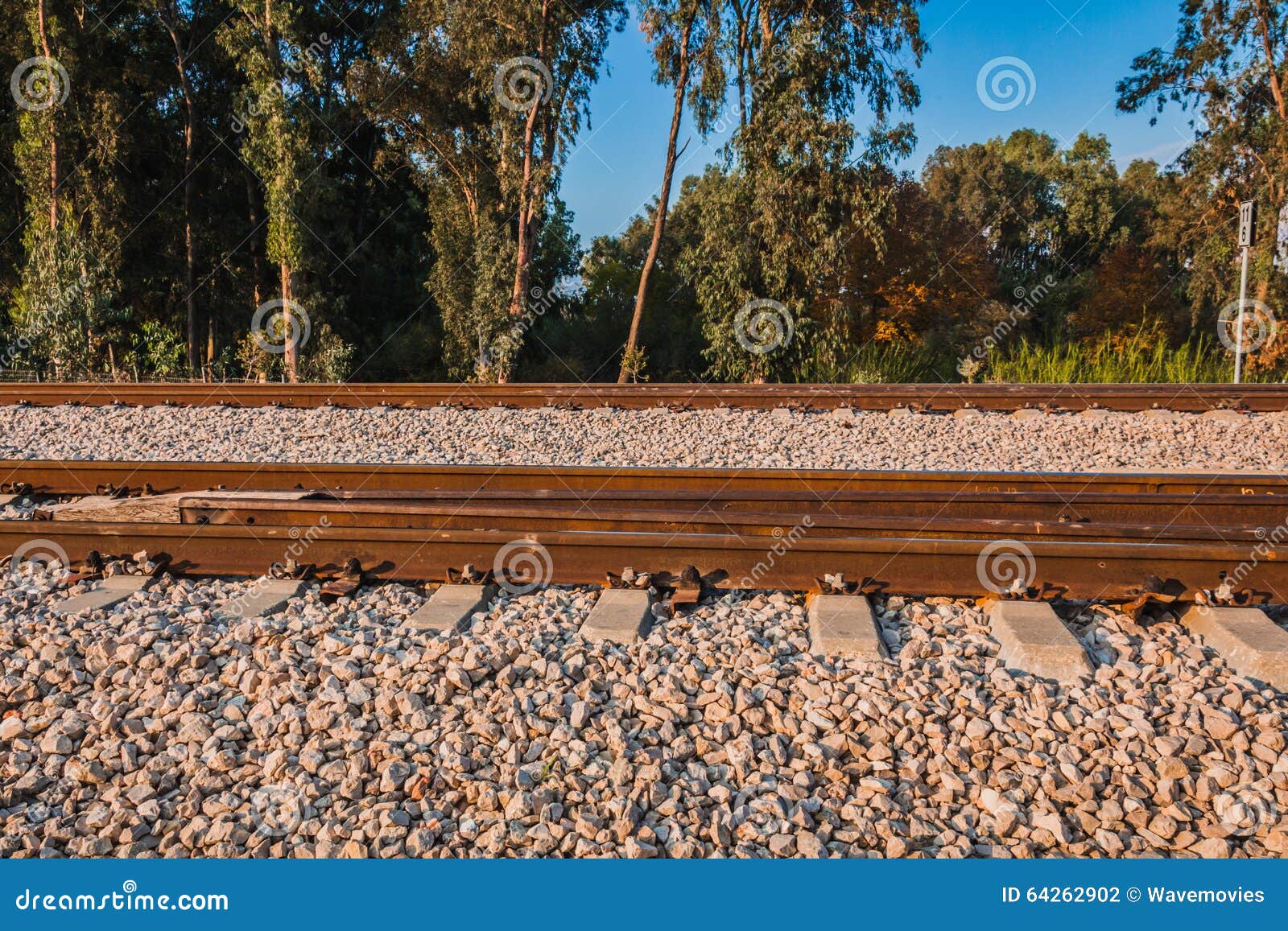 Railroad Track in a Rural Area in the Afternoon Stock Photo - Image of ...