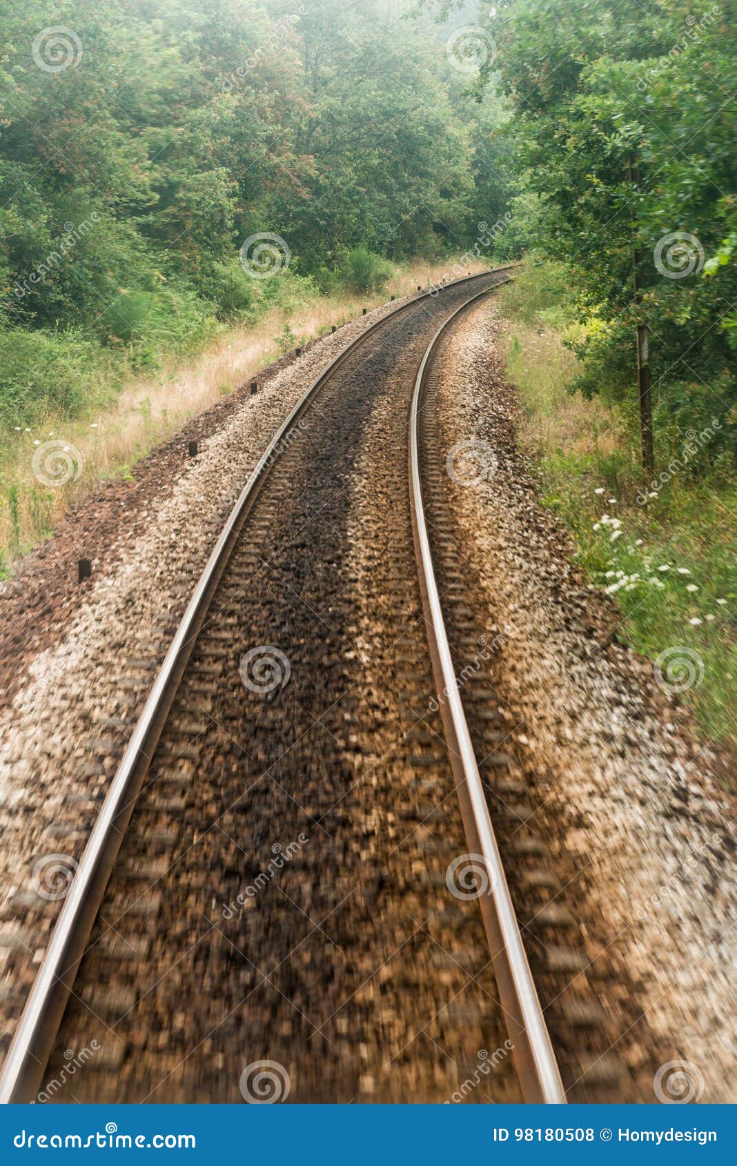 Railroad Track, Train Point of View Stock Photo - Image of forest ...