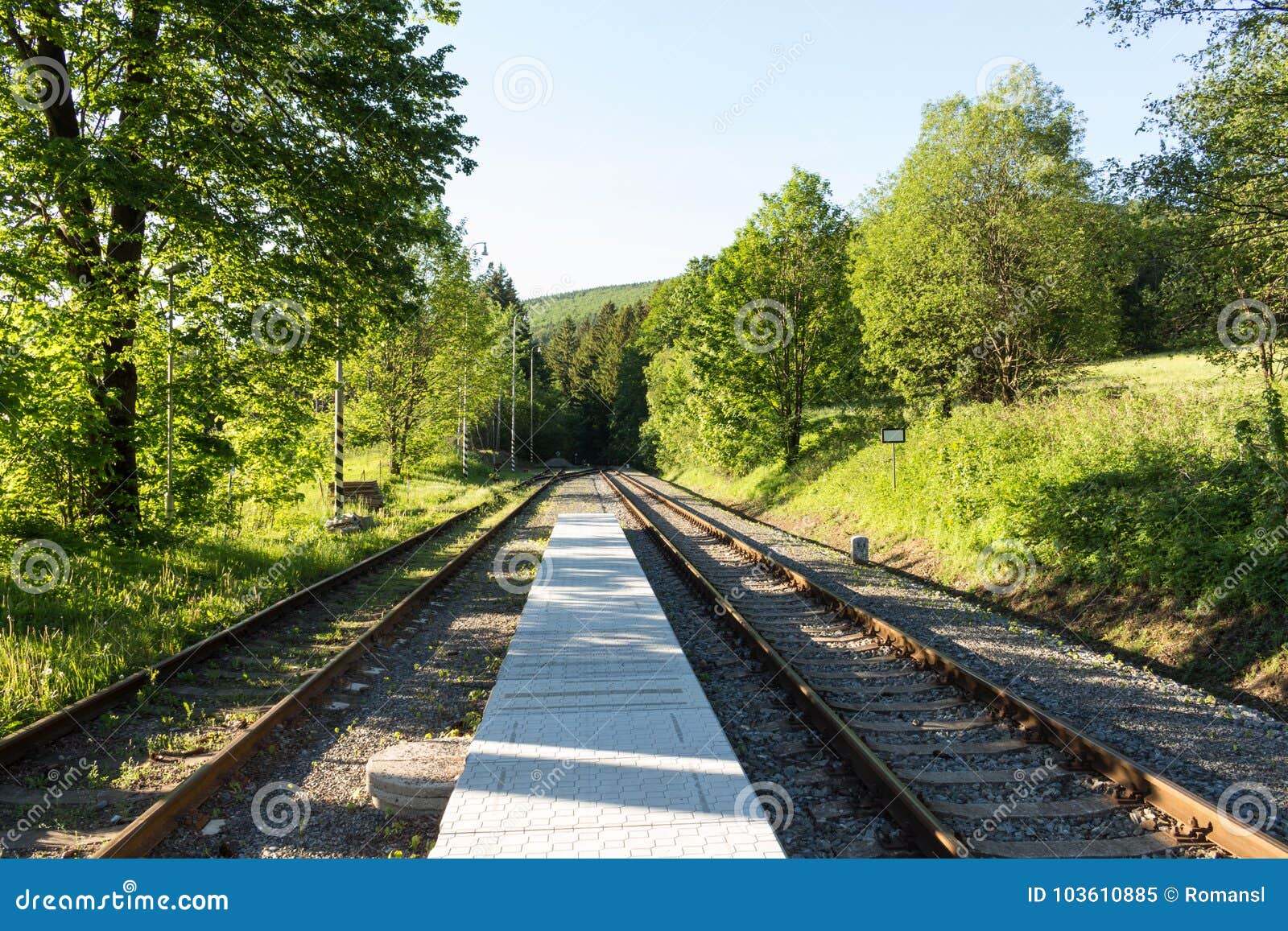 Railroad Track Winding through Green Summer Forest Stock Image - Image ...